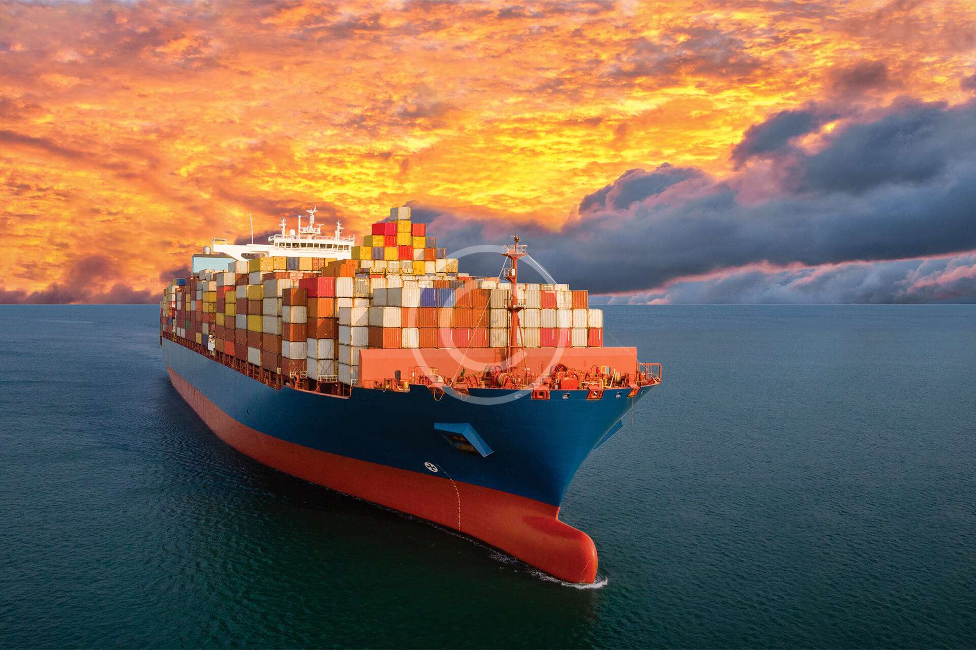 How to Check the Reliability of the Cargo Carrier – Victory Freight